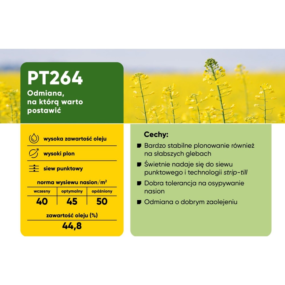 Nasiona Rzepak ozimy Pioneer® PT264
